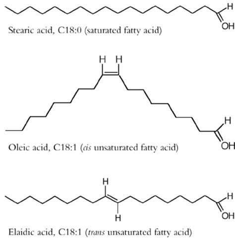 Fatty Acids Definition Classification Types Functions 50 Off