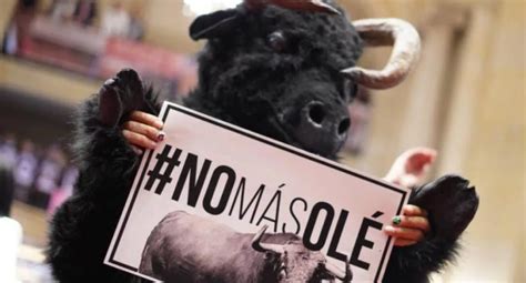 Senado Aprobó Ley Que Prohíbe Corridas De Toros En Colombia