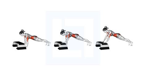 Dumbbell Plank Pass Through Guide Benefits And Form