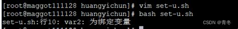 Linux Set 命令的使用方法 Csdn博客