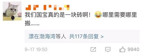 2022年北京冬奥会吉祥物冰墩墩来啦，憨厚可爱的样子惹人爱！ 知乎