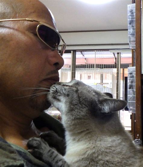一般社団法人 ワニガメ生態研究所 On Twitter そういう私はそろそろこたろうの昼ご飯なのですが、ほたてに抱きつかれて顔中をペロペロ