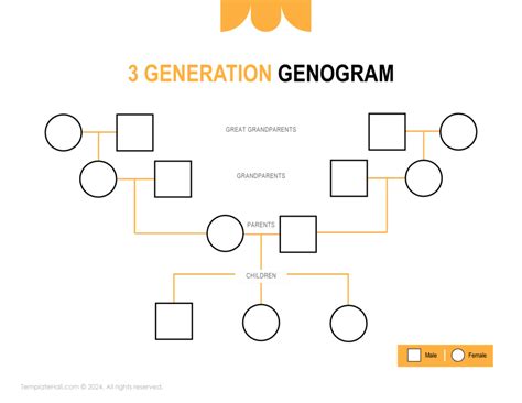 The Ultimate Guide To 3 Generation Genogram Templates