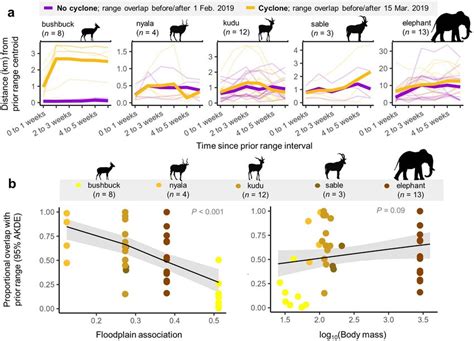 Herbivore Traits Predicted Degree Of Displacement After Idai A This