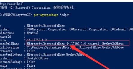 Edge Webview Runtime Edge Webview Runtime