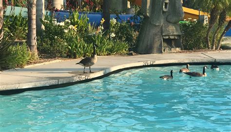 Six Flags Hurricane Harbor Los Angeles All You Should Know Before