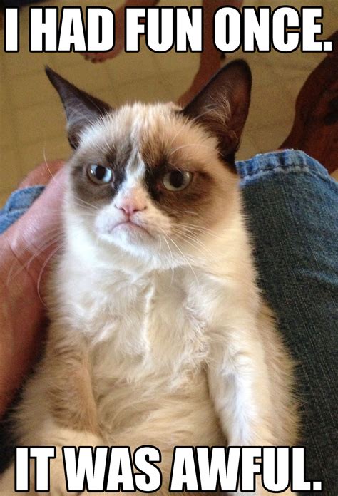 Grumpycatmeme