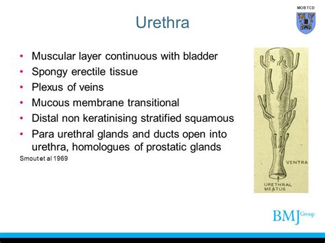 Cover Slide Ppt Video Online Download