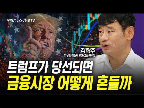 미국 금리인하해도 강달러는 계속된다 김학주 교수 인포맥스라이브 240718