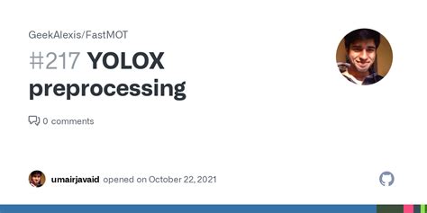 yolox preprocessing · issue 217 · geekalexis fastmot · github