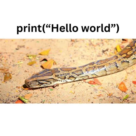 Learningjourney Coding Programminglanguages Jai Kakade