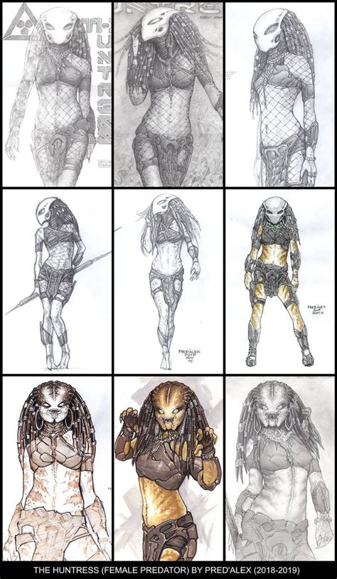 The Huntress Female Predator Concept By PRED ALEX On DeviantArt