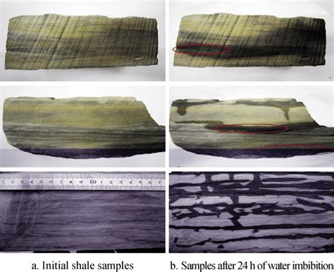 Capillary Imbibition Effect Of Shale Download Scientific Diagram