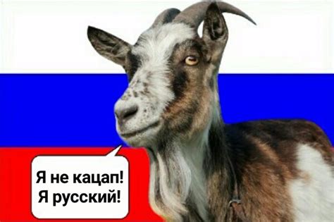 Создать мем домашняя коза коза смешная козочка Картинки Meme