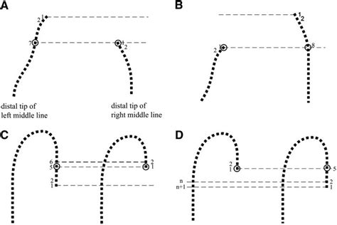 Finding The First Matching Points Using The Epipolar Geometry Distal Download Scientific