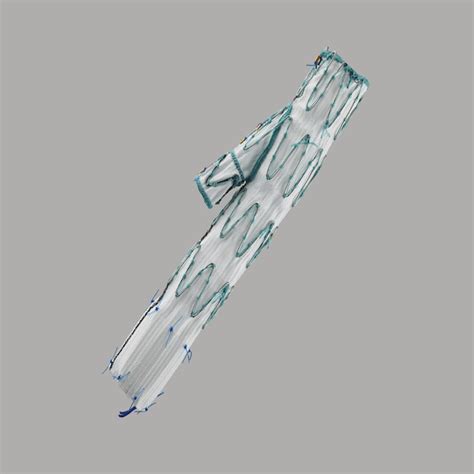 Zenith® Branch Endovascular Graft Iliac Bifurcation Endovascular