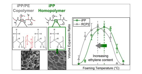 Effect Of Ethylene Comonomer Content On The Foam Processing Window Of Long Chain Branched