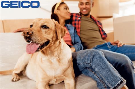 Geico Pet Insurance Review Protect My Paws