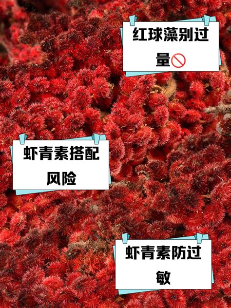 雨生红球藻为何要尽量少吃