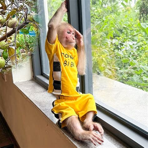 Luxury Bibi Took The Money From Selling Bitter Melon Invited Dad To