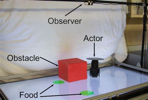 A I Displays An Unsettling Skill The Ability To Show Empathy