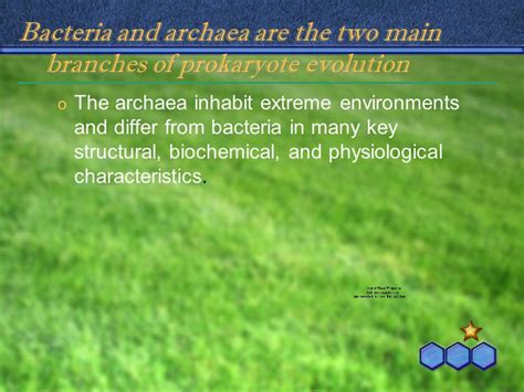 Chapter 27 Prokaryotes And The Origins Of Metabolic Diversity Ppt