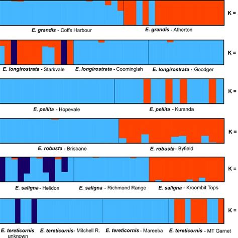 Population Structure Analysis Of Each Eucalyptus Species Separately For
