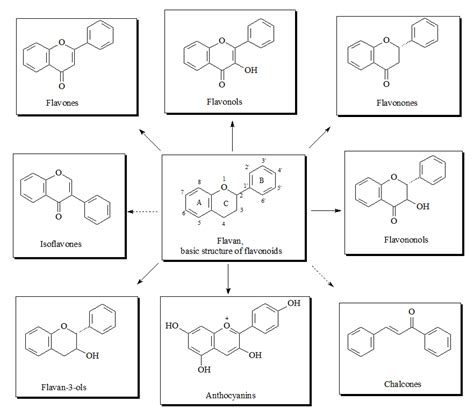 Flavonoid Structure