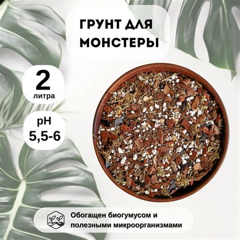 Грунт для монстеры 2 л - купить по низкой цене в интернет-магазине OZON ...