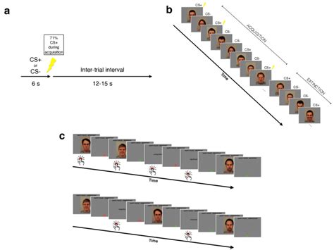 Schematic Representation Of The Experimental Procedures A