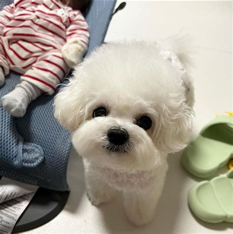 閒聊早上好中午好下午好晚上好 場外休憩區 哈啦板 巴哈姆特