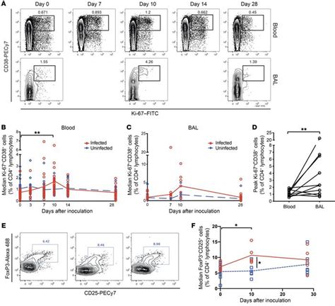 JCI Epitope Specific Airway Resident CD4 T Cell Dynamics During