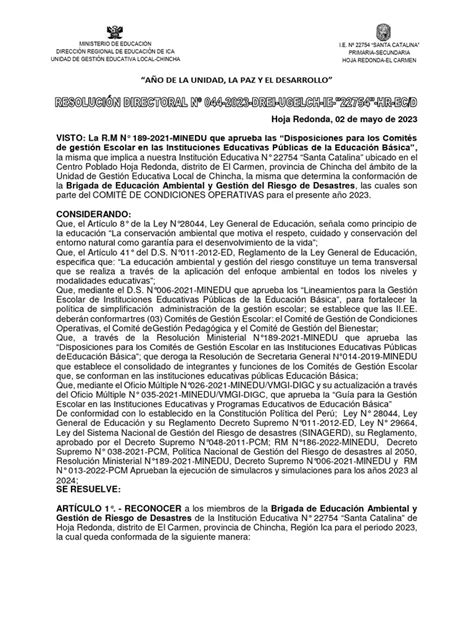 r d 044 2023 conformaciòn de las brigadas de ea y pgr pdf