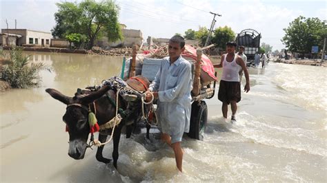 Pakistan Flood Photos