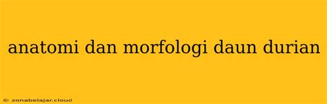 Anatomi Dan Morfologi Daun Durian