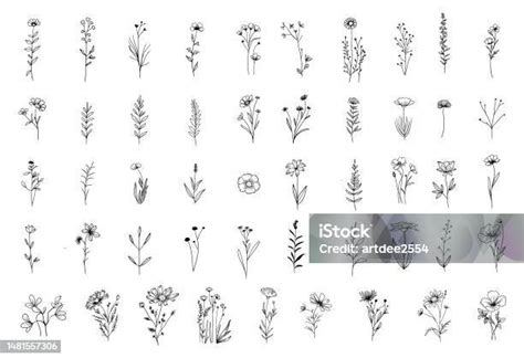 야생화 꽃 잎 큰 세트 낙서 손으로 그린 개요 스타일 결혼식 사랑 자연 인쇄 카드 결혼식 사랑 티셔츠 배너 Productvector 일러스트레이션 야생화에 대한 스톡 벡터