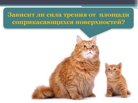 Силы трения Трение в природе и технике презентация онлайн