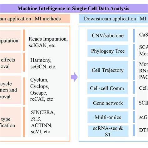 brief summary of computational methods for single cell data analysis