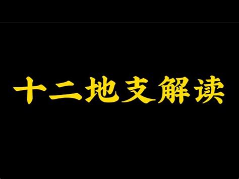 准提子八字命理十二地支解读 YouTube