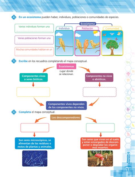 4to de Primaria CIENCIAS SOCIALES Editorial Nueva Generación