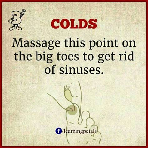 45 Massaging Ideas Massage Therapy Muscle Anatomy Massage