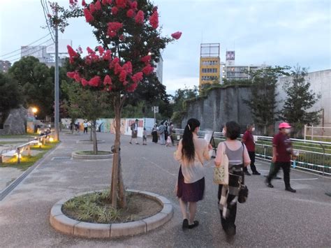 【大阪市天王寺区・阿倍野区】夜の動物園ってどんなかな？応募32000人！定員越えで抽選になった「夏のナイトzoo」のライブ配信がありますよ