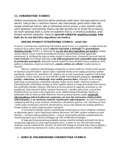 Biologija Lekcija 11 Eukariotske Stanice Pdf