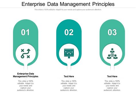 Enterprise Data Management Principles Ppt Powerpoint Presentation Outline Images Cpb