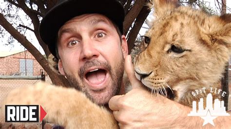 Lizard King Maloof Money Cup Lions Nelson Mandela And More SPoT