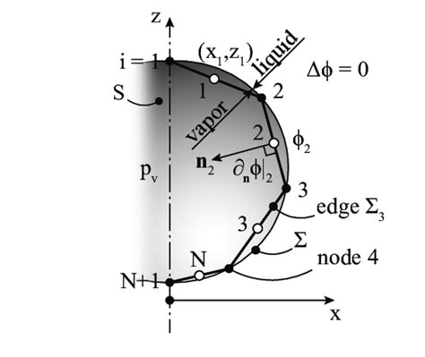 Schematic Of The Numerical Representation Of The Liquidvapor Interface Download Scientific