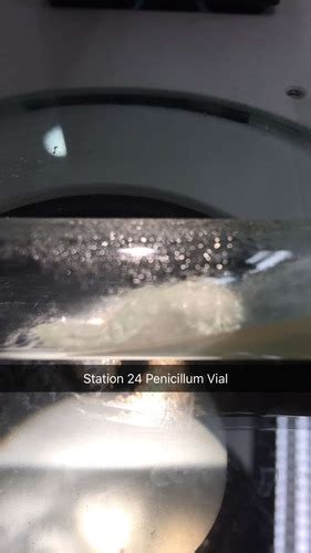 Practicum Lab 2 Flashcards Quizlet