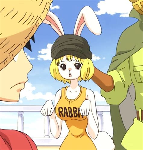 Carrot One Piece Anime