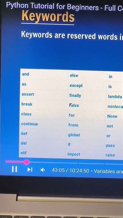 Day 3 Of Learning Python 🧑🏻‍💻🐍 Coding Programming Python Shorts Youtube