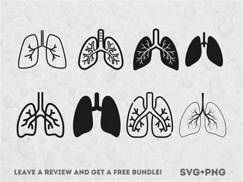 Lungs Svg Anatomy Svg Svg Files For Cricut Medicine Clipart Lung